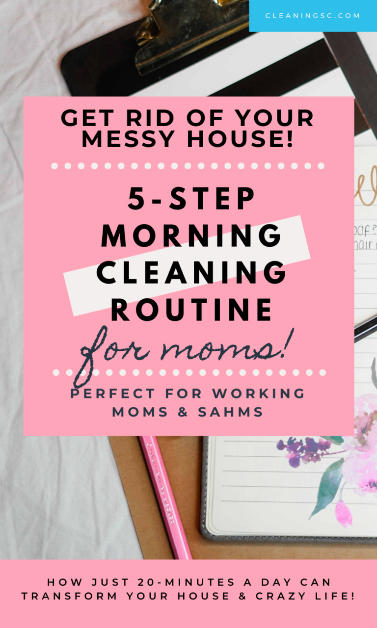 The Super Simple 20-Minute Morning Cleaning Routine For Moms » 🙌 House ...